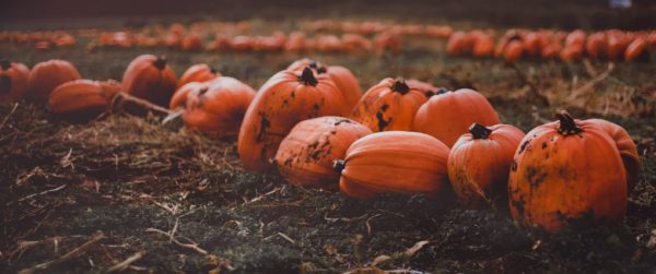 Autumn has Fallen - Caffe Society Blog